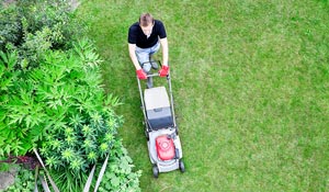 The Importance of Regular Lawn Mowing